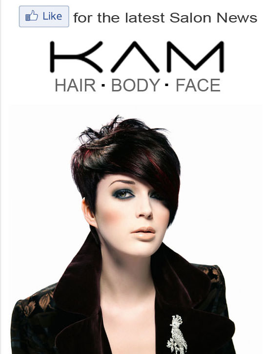 Facebook-Like-Tab | Salon Guru