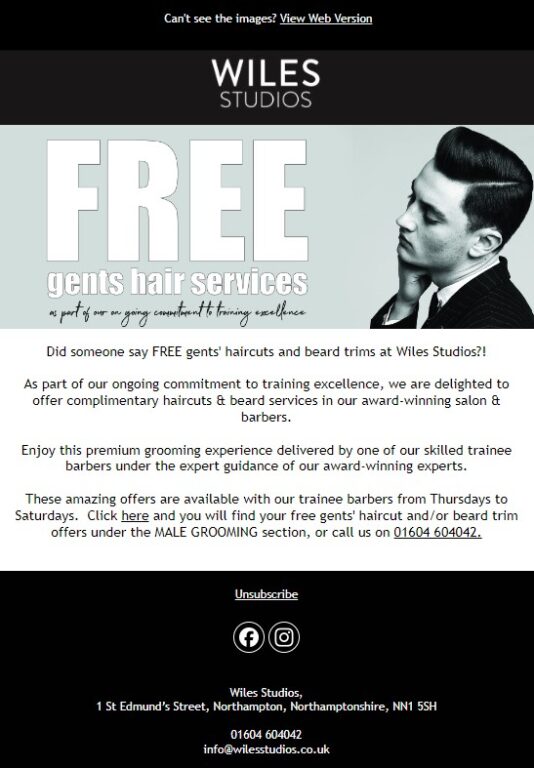 Salon email marketing – tips, ideas, templates, examples | Salon Guru